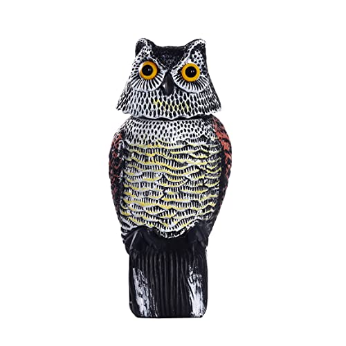 Búho espanta palomas Leroy Merlin: solución efectiva contra las plagas ...