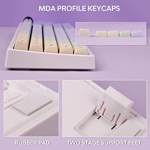 EPOMAKER TH66 Pro ISO UK Layout 65% Hot Swappable RGB 2.4Ghz/Bluetooth ...