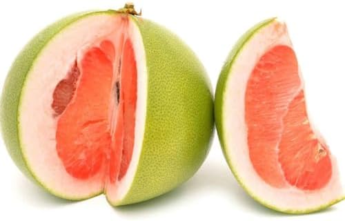 Natura GreenHouse Sweet GRafted Pomelo Batabi Citrus Maxima Papnus ...
