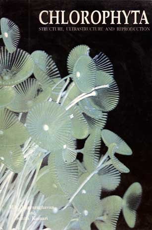 Chlorophyta, structure, ultrastructure, and reproduction ...