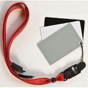 Amazon.com: DGK-2 Premium White Balance Card Set : Electronics