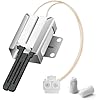 Amazon.com: 316489403 316489400 Gas Range Oven Igniter 5304534663 Flat ...