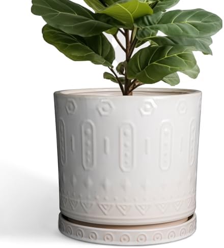 Amazon.com : SUNPOTFOR Ceramic Planter Pot - 12 Inch Large Plant Pot ...