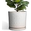 Amazon.com : Eightpot Ceramic Pots for Plants 12 Inch - Large Ceramic ...