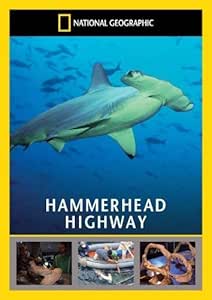 National Geographic: Hammerhead Highway [DVD]: Amazon.co.uk: DVD & Blu-ray