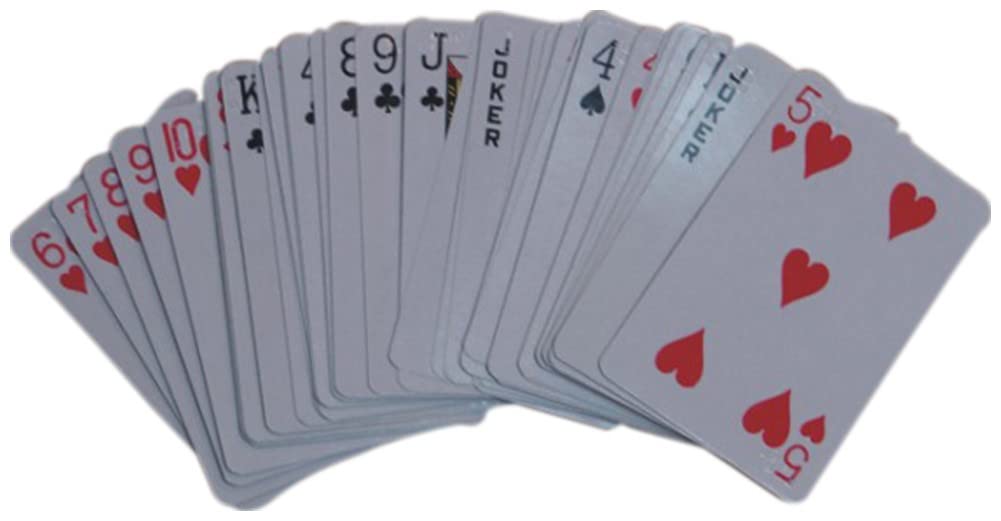 Amazon.com: Braille Playing Cards for The Blind and Sighted, Standard ...