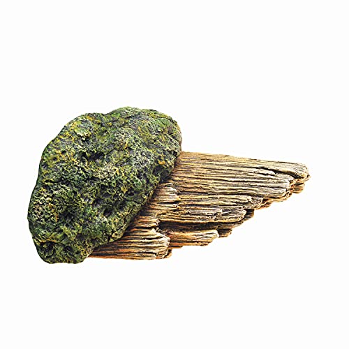 Amazon.com New Releases: The best-selling new & future releases in ...