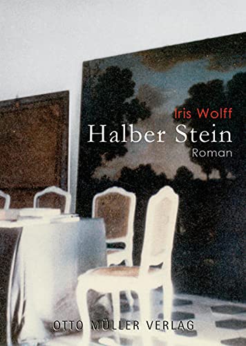 Halber Stein: Roman. Ausgezeichnet mit dem Ernst-Habermann-Preis 2014 ...