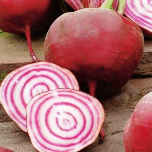 Royal Paradise Garden Rare Beet Root " Chioggia Red " Exotic 20 ...