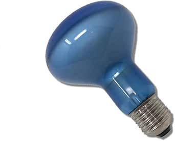 Daylight R80 100w ES Spotlight Bulb - Amazon.com