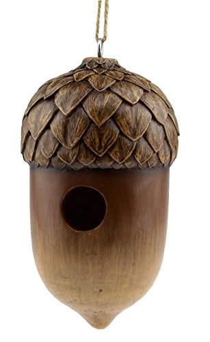 Amazon.com : Birdhouse Acorn, Collectible Garden Decor, 9-inch : Patio ...
