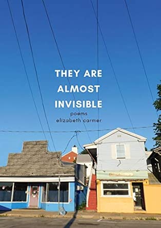 They Are Almost Invisible: Carmer, Elizabeth: 9781644400517: Amazon.com ...