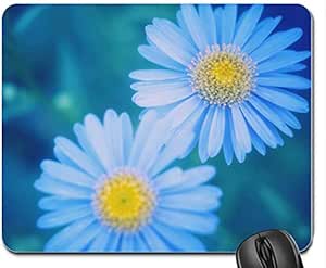 Amazon.com: Blue Daisies Blurred Close up Personalized Rectangle Mouse ...