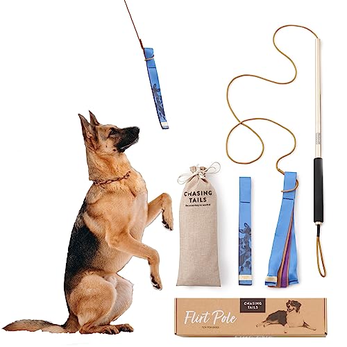 Get Your Dog's Tail Wagging with these Top 10 Flirt Poles - A ...