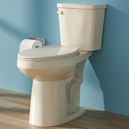 Top 10 Best Tall Toilets For Seniors : Reviews & Buying Guide - Katynel