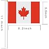 Amazon.com: Hand Held Canada Flag Canadian Flag Stick Flag Mini Flag 50 ...