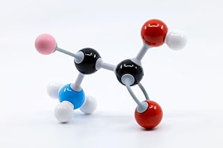 The Essential Elements Of Proteins: Building Blocks Of Life | MedShun