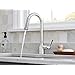 Moen 87233 Adler One-Handle High Arc Pulldown Kitchen Faucet with Power ...