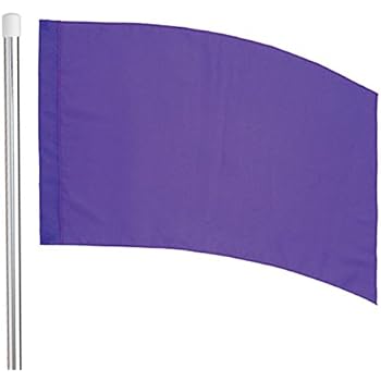 Amazon.com : DSI Color Guard Flag Pole Cap (Heavy Duty Rubber) by ...
