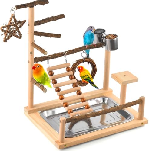 Amazon.com : kathson Parrot Playstand Bird Playground Conures Play ...