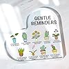 Amazon.com: Gentle Reminders Decor, Positive Affirmations Desktop Art ...