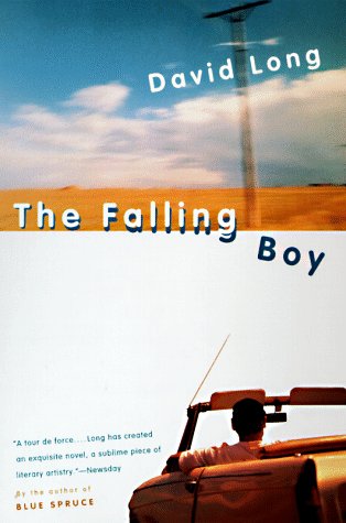 The Falling Boy: A Novel: Long, David: 9780452279971: Amazon.com: Books