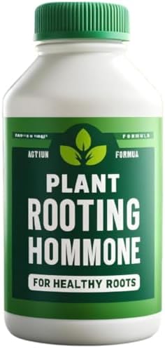 Organic Rooting Hormone Powder for Plants Cuttings (100 Gm) - Rooting ...