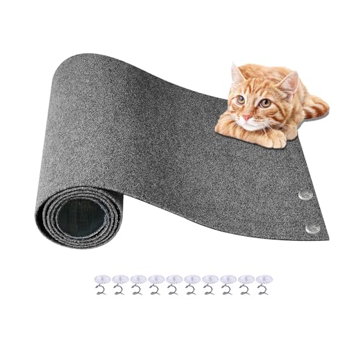 Cat Carpet – The 15 best products compared - Wild Explained