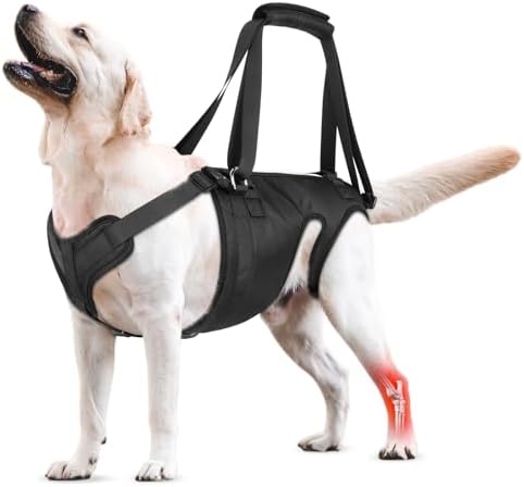 Dog Lift Harness, Dog Sling for Large Medium Dogs' Hind Leg Support Pee ...
