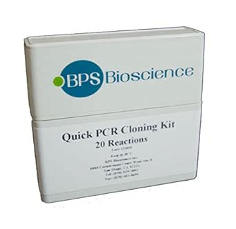 Fast and Efficient Mutagenesis Kit without Competent Cells: Amazon.com ...