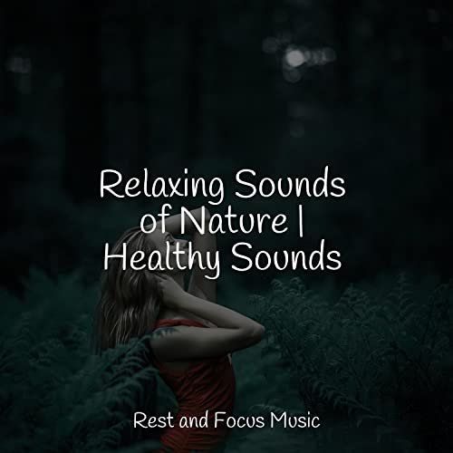 Écouter Relaxing Sounds of Nature | Healthy Sounds de Ambient Forest ...