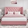 Amazon.com: HOMBCK Pink Queen Bed Frame, Upholstered Platform Bed Frame ...