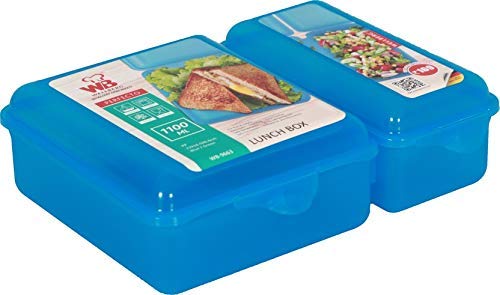 Buy Wellberg WB-9663 Lunch Box 1100ML PP Online at Low Prices in India ...