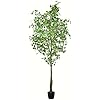 Amazon.com: Vickerman Everyday Artificial Gingko Tree 9 Foot Tall ...