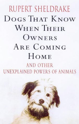 By Rupert Sheldrake Dogs That Know When Their Owners are Coming Home ...