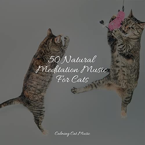50 Natural Meditation Music For Cats by Music for Pets Library, Deep ...
