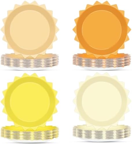 Amazon.com: Visroco 40 Pcs 9 Inch First Trip Around The Sun Plates,Boho ...