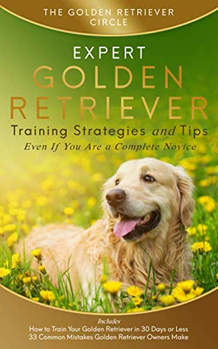 Golden Retriever: Expert Golden Retriever Training Strategies and Tips ...