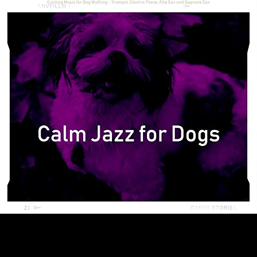 Exciting Music for Dog Walking - Trumpet, Electric Piano, Alto Sax and ...