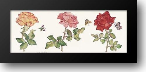 Amazon.com: Assorted Roses 24x12 Framed Art Print by Cappello, Carolyn ...