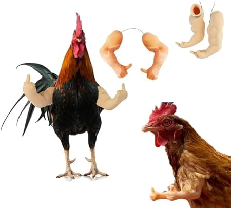 Amazon.com : 2PCS Chicken Arms, Muscle Chicken Arms Toys for Chickens ...