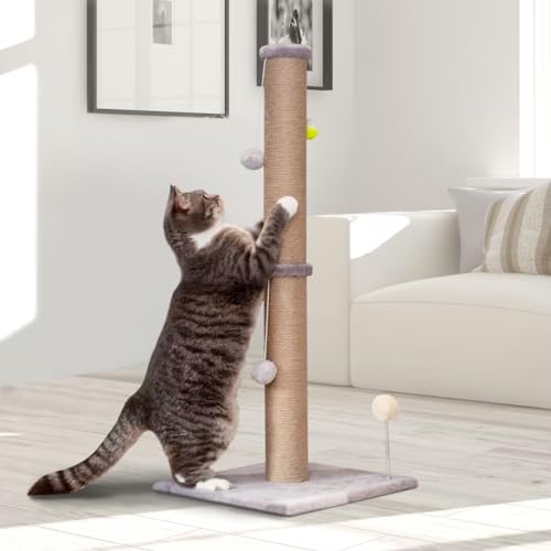 10 Best Cat Scratching Post Ever