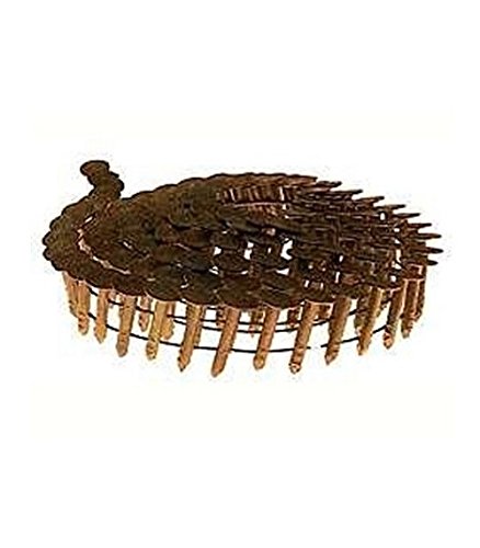 NAIL,COL,120,ROOF,3/ : Amazon.in: Beauty