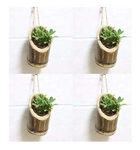 Kids Alphabet Poster Get Bamboo Planters (2) At ₹ 699 ...