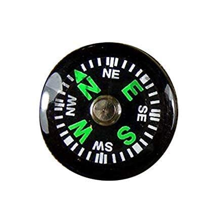 DIYASHI® Magnetic Classroom Compass - Set of 10 (20mm) : Amazon.in ...