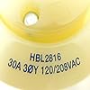 Hubbell HBL2816 AC Flanged Outlet NEMA L21-30 Female White - Electric ...
