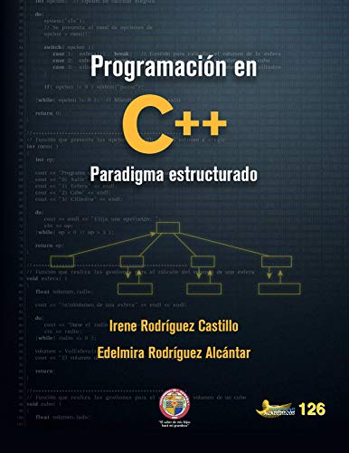 Programación en C++: paradigma estructurado eBook : Rodríguez Castillo ...