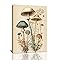 Amazon.com: Vintage Mushroom Botanical Wall Art Mushroom Kitchen Decor ...
