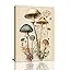 Amazon.com: Vintage Mushroom Botanical Wall Art Mushroom Kitchen Decor ...