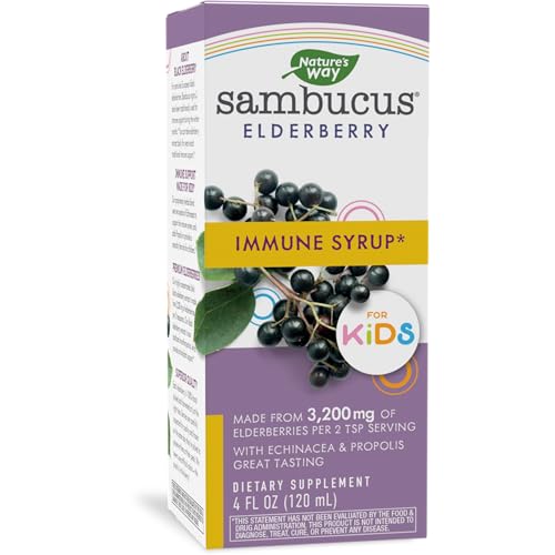 Nature's Way Sambucus Elderberry Immune Syrup for Kids with Echinacea ...